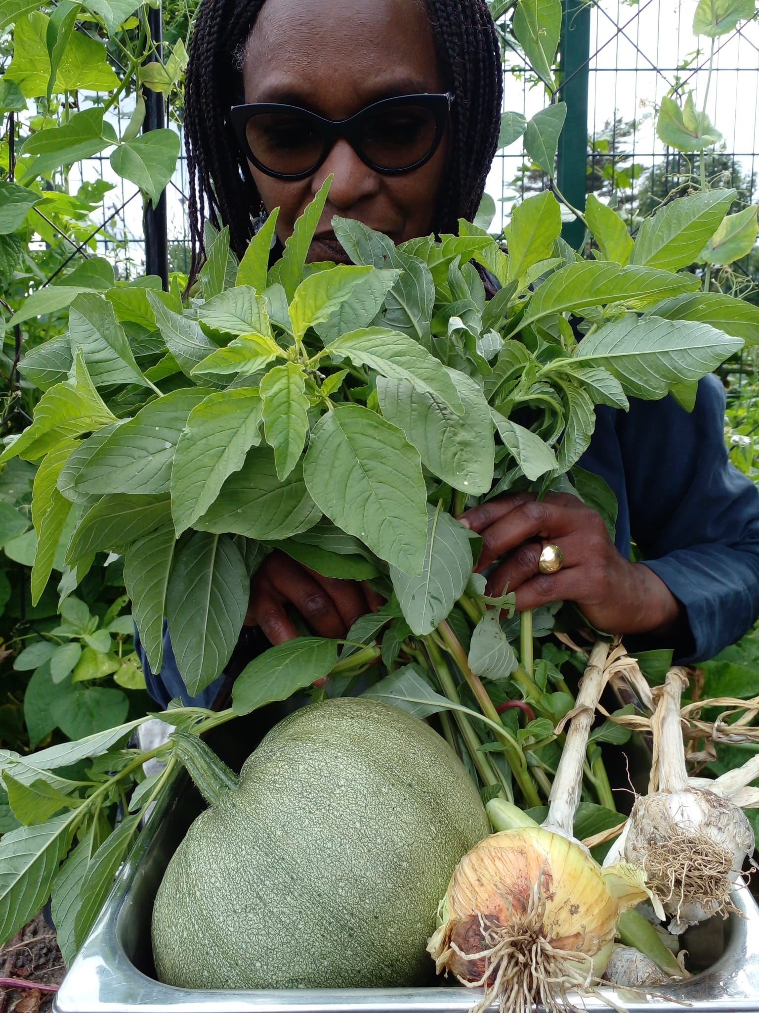 Mini July Harvest – REACT